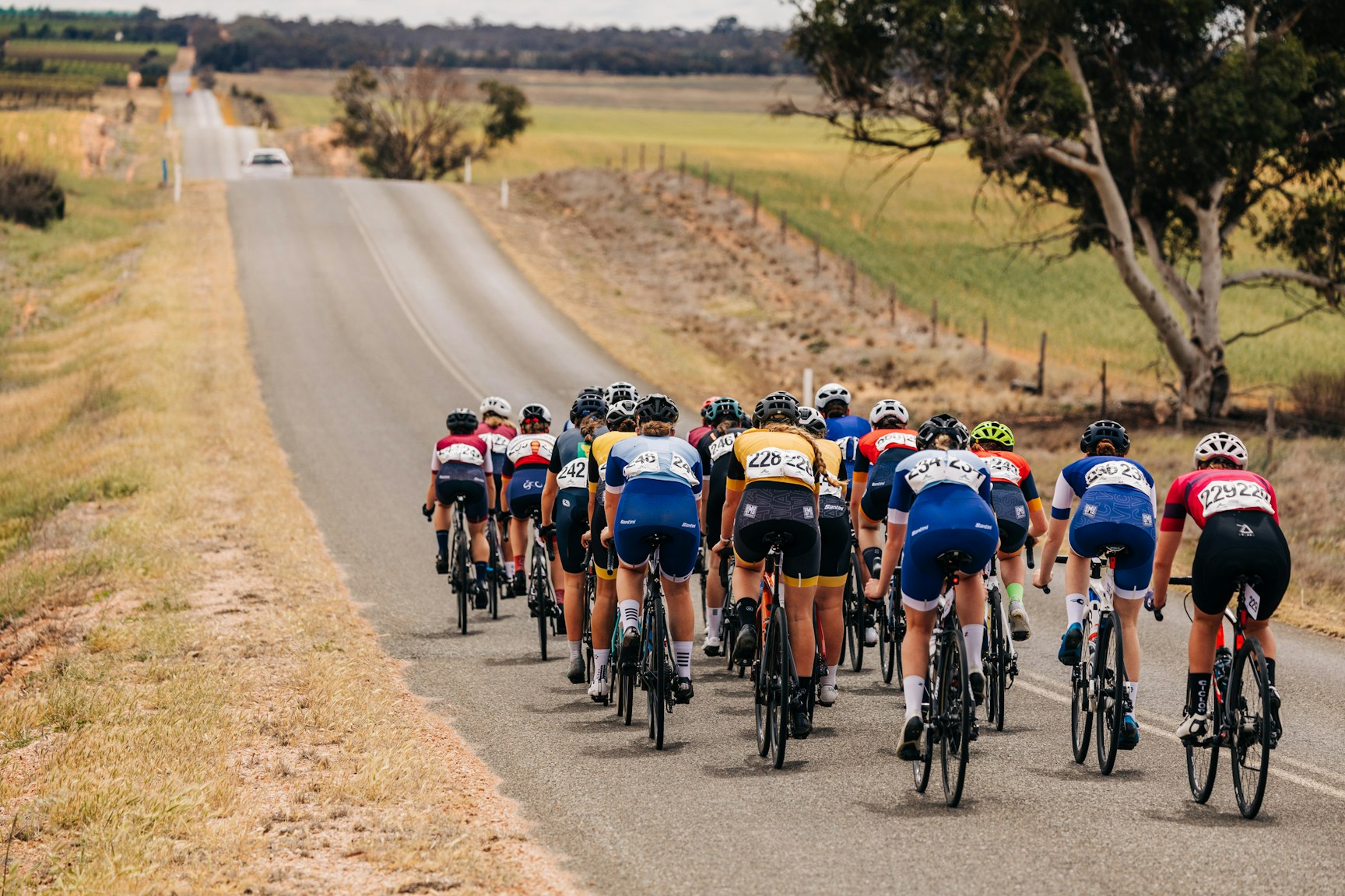 Road Development Academy team for New Zealand junior tour | AusCycling