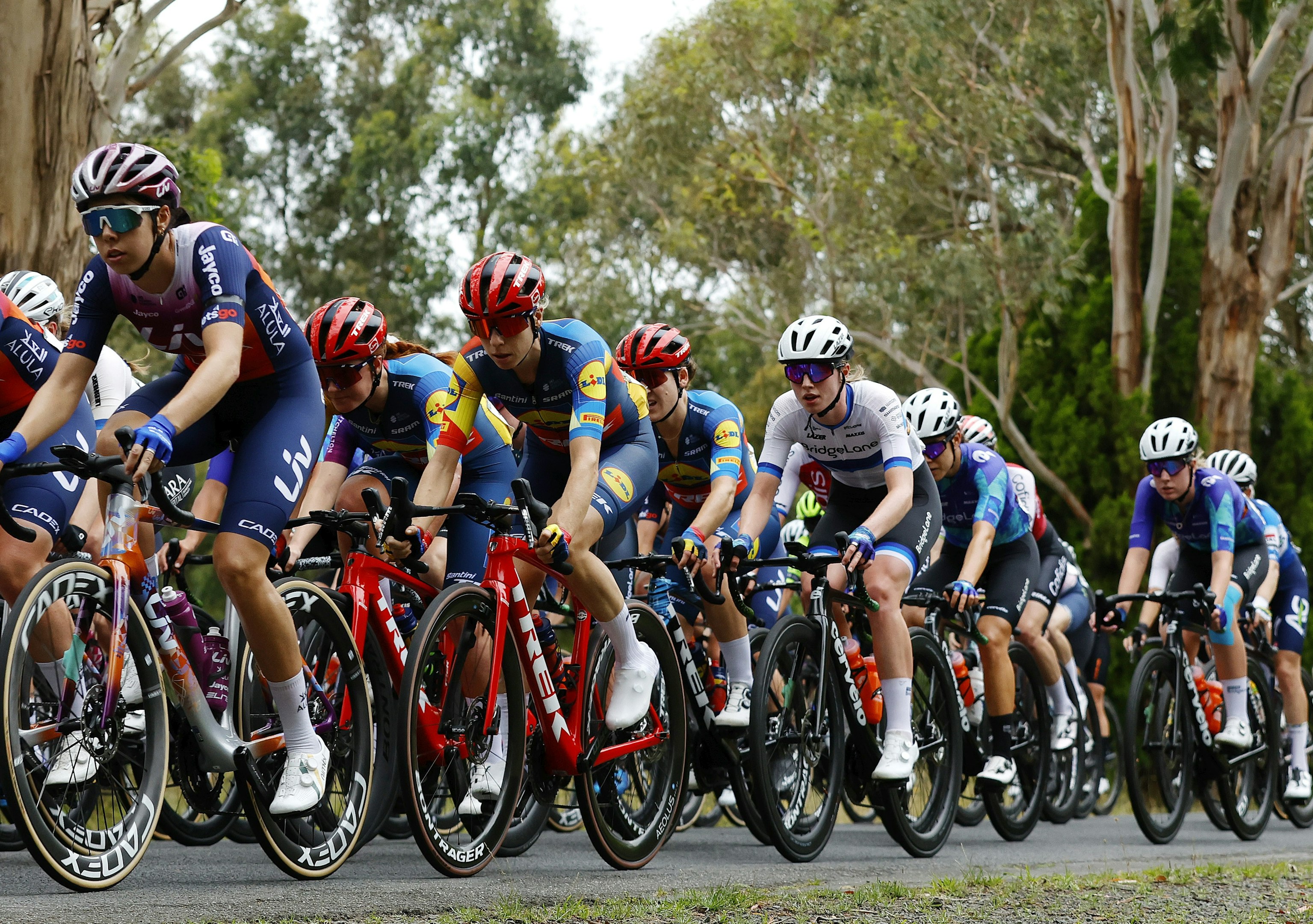 Aussie road transfers: The big moves that will shape the 2025 season ...