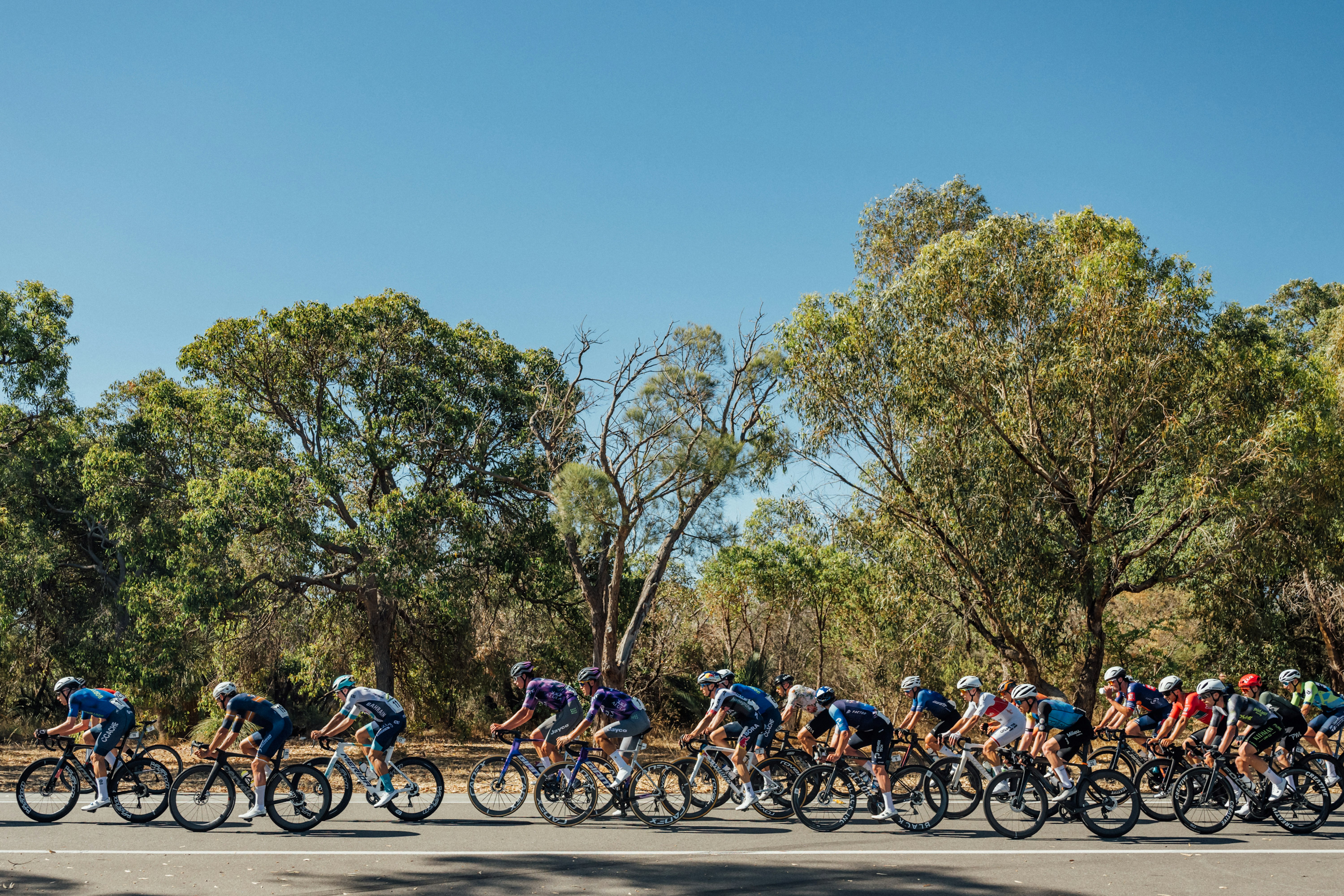 AusCycling Road National Championships - 7-11 January 2026 | Road Nationals