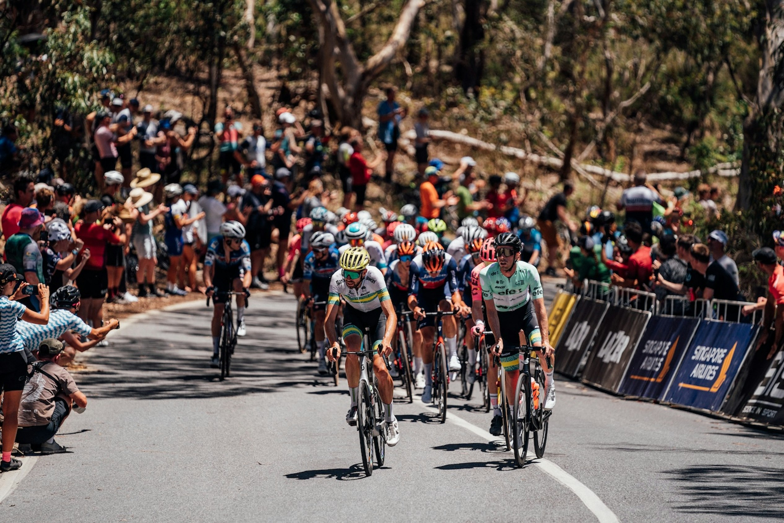ARA Australian Cycling Team named for 2025 Tour Down Under and Cadel ...