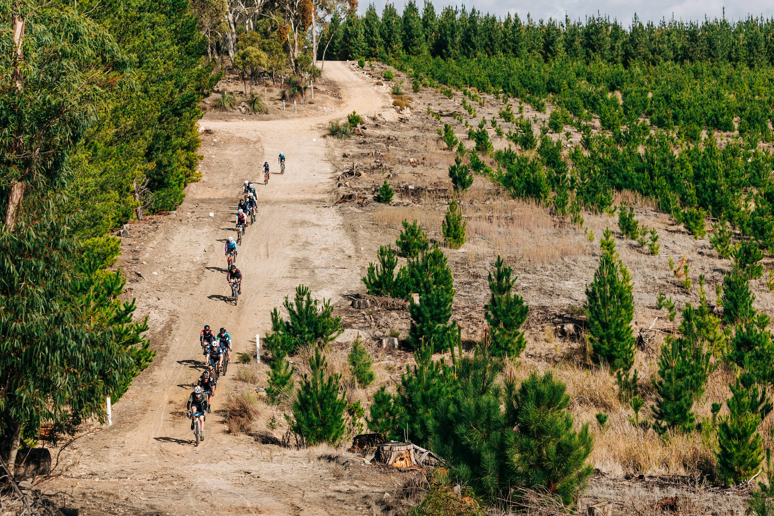 Saddle up for Ponderosa Pines and the new-look 2025 AusCycling Gravel ...